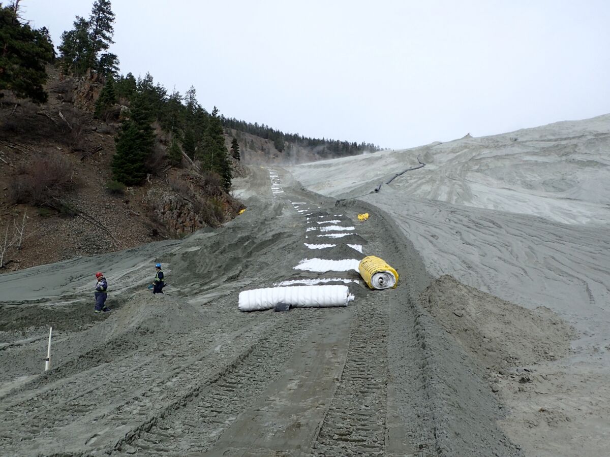 Tailings dam drainage